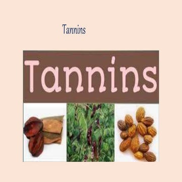 tannins ppt.pptx
