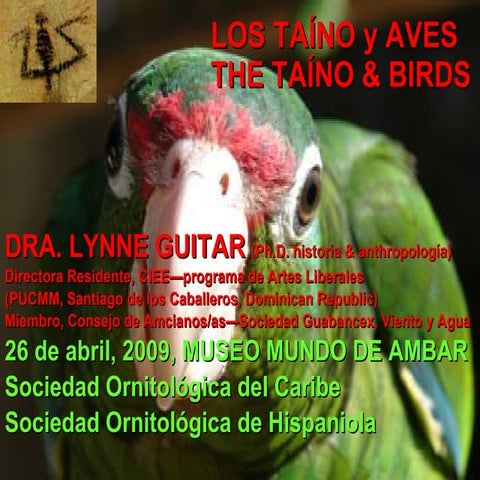 Taínos y Aves | PPT