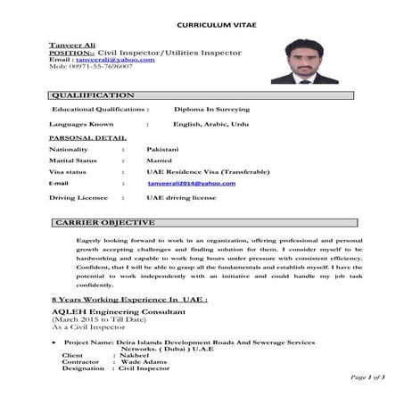 Noor c.v | PDF