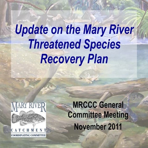 Update on aspects of the Recovery Plan | PPT