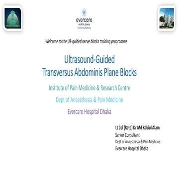 Ultrasound-Guided Transversus Abdominis Plane Blocks | PPTX | Physical ...