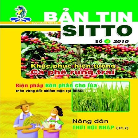 Sitto News Vol.4 | PDF