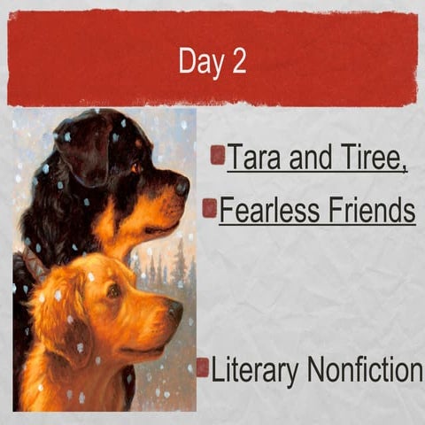 Tara and tiree day 2 | PPT