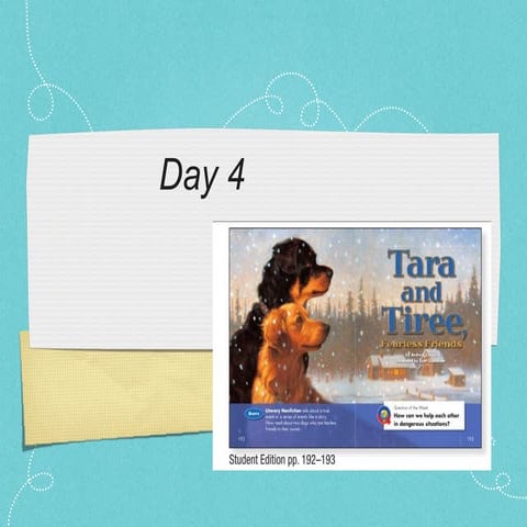 Tara and tiree day 4 | PPT