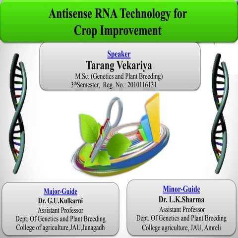 Antisense RNA Technology Forr Crop Improvement | PPTX