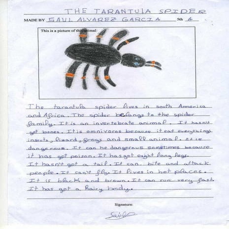 Tarantulasaul | PDF
