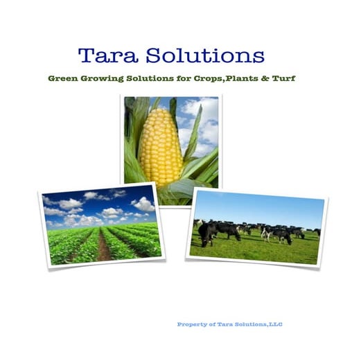 Tara Solutions Brochure 6 12 Copy (2) | PDF