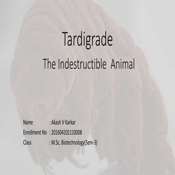Tardigrade | PPTX