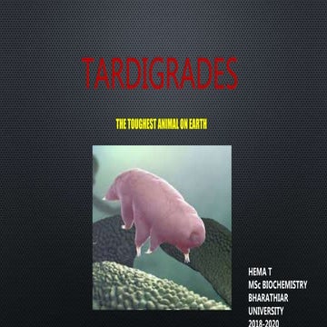 Tardigrades ppt | PPTX