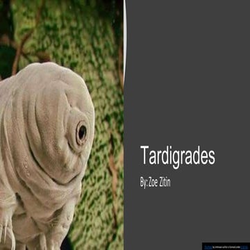 tardigrades.doc | Free Download