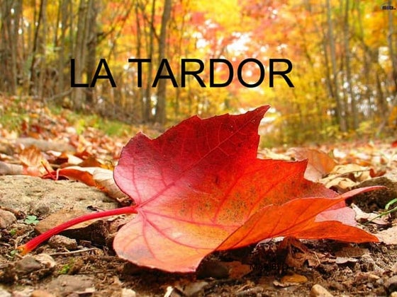 La tardor Susana | PPT