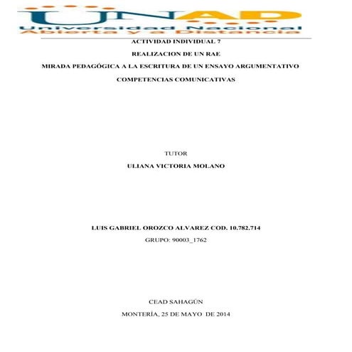 PASOS PARA LA ELABORACION DE UN RAE | PPTX