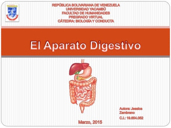 Sistema digestivo de los peces. | PPT