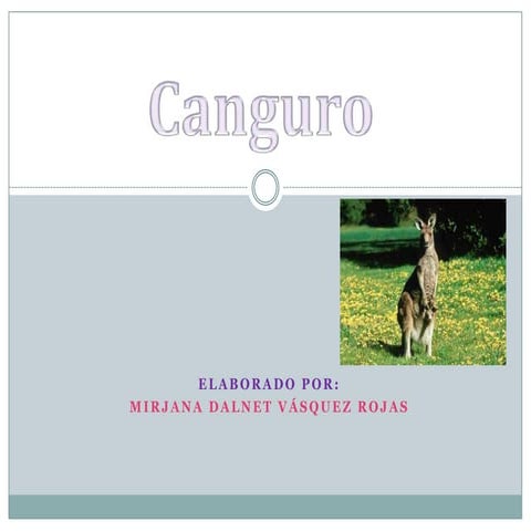 El canguro | PPT