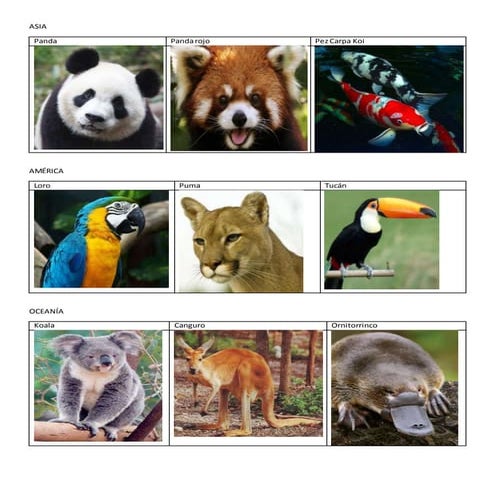 Los animales y sus continentes | DOCX