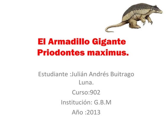 Armadillo Deck | PPT