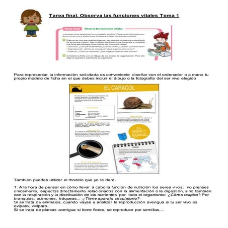 Tarea final 2. | PDF
