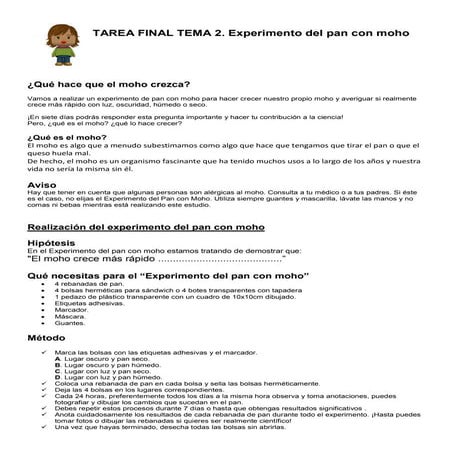 Tarea final 2. | PDF