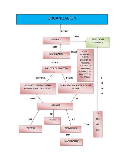 Declan McCabe Reference Letter Tiger Brands | PDF
