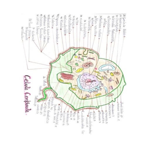 TAREAS EXTRA E INTRA CLASE | DOCX