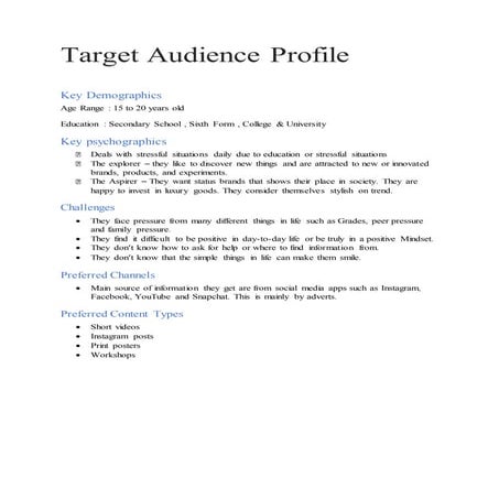 Target audience profile | DOCX | Social Networking | Internet