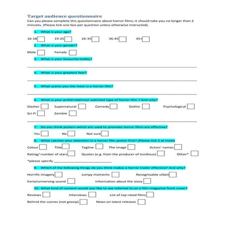 Target audience questionnaire 2 | DOCX