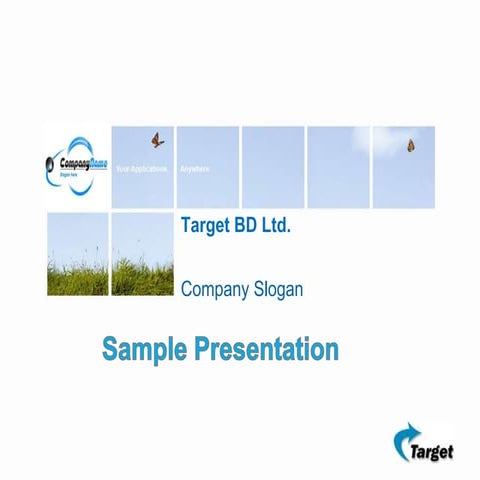 Target bd investor presentation sample | PPSX