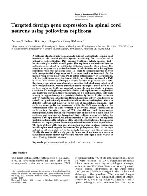 Vienna Kuhn Symposium Poster | PPT