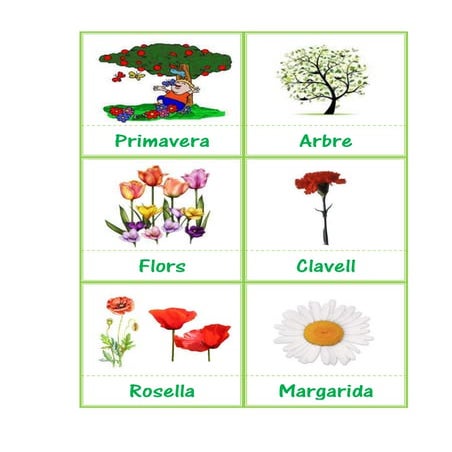 Targetes vocabulari primavera | PDF