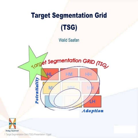 PHARMA Target Segmentation Grid (2 plus 2) | PDF