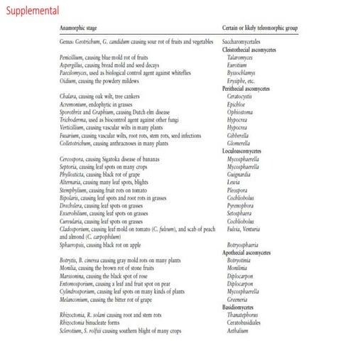 Target Spot Disease of Tomato_Symptoms & Management.pptx