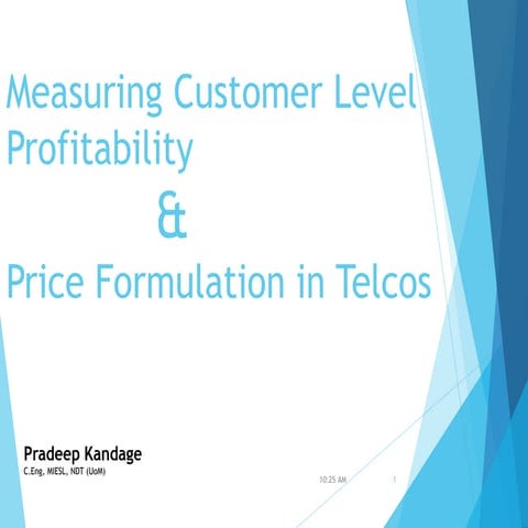 Measuring Customer level profitability & Price formation in Telcos | PPTX