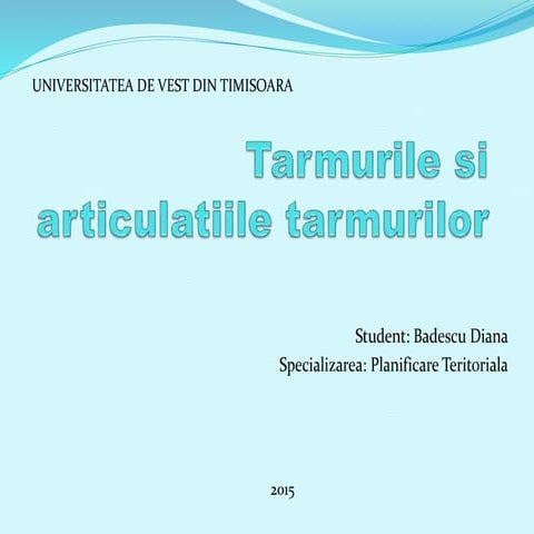 Tarmurile si articulatiile tarmurilor | PPTX