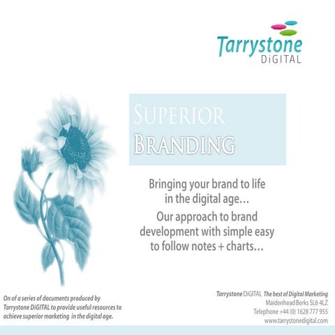 Tarrystone Digital Brand Development | PDF