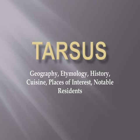 Tarsus | PPT