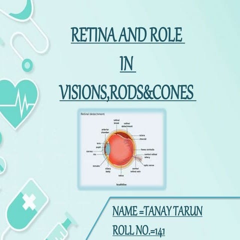 retina and role in vision | PPTX