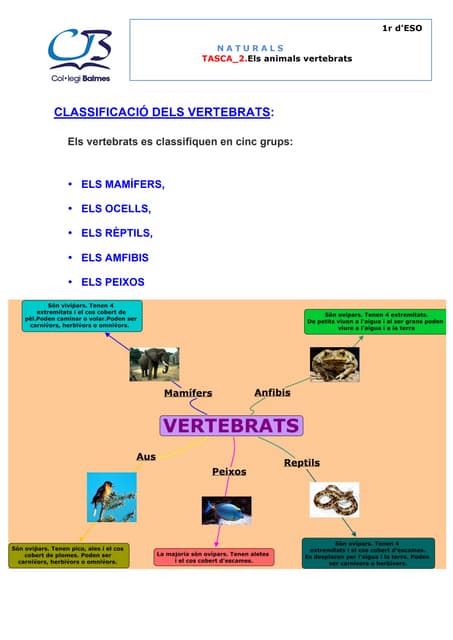 Tasca 5.els rèptils | PDF