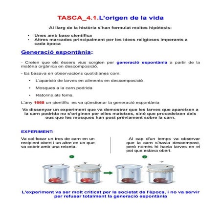 Tasca 4.1.l’origen de la vida | PDF