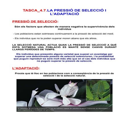 Tasca 4.7.la pressió de selecció i l'adaptació | PDF
