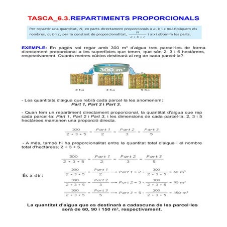 Tasca 6.3.repartiments proporcionals | PDF
