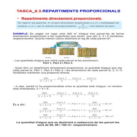 Tasca 6.3.repartiments proporcionals | PDF