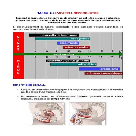 Tasca 8.2.l'aparell reproductor. | PDF