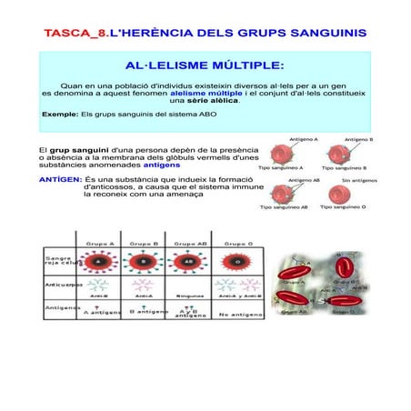 Tasca 8.l'herència dels grups sanguinis | PDF