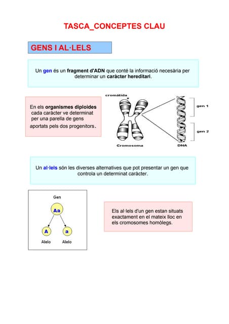 Tasca 7.intervals | PDF