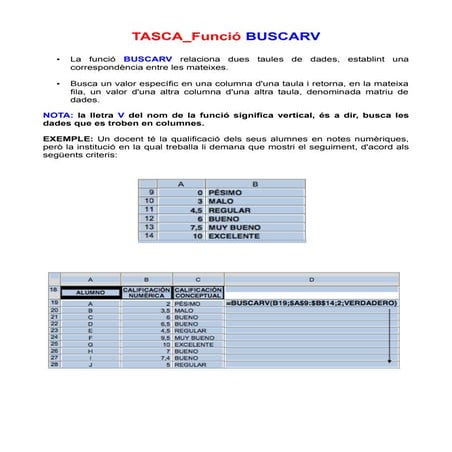 Tasca funció buscarv | PDF