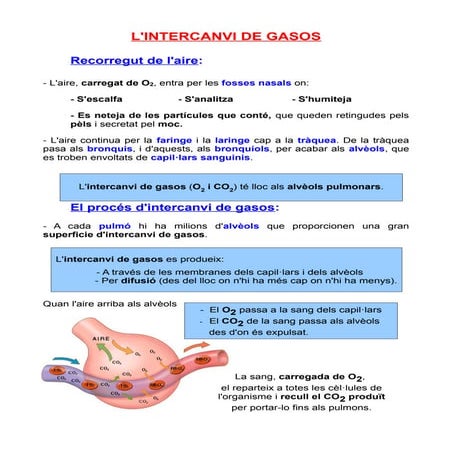 Tasca 8.4.anatomia de l'aparell reproductor masculí. | PDF