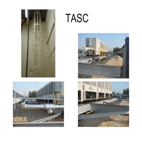 Tasc bob | PPT