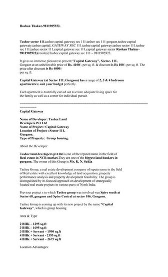 Tashee Capital Gateway | PDF