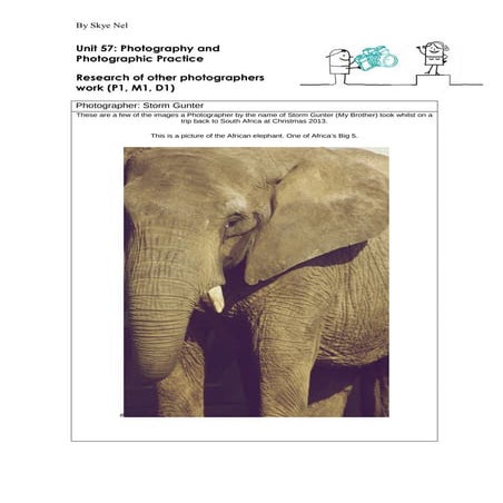 Task 1 animal photograpy. | PDF