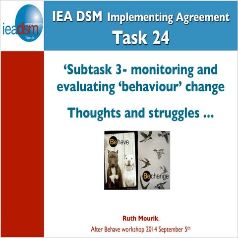 IEA DSM Task 24 Subtask 3 Evaluation conundrums | PPT